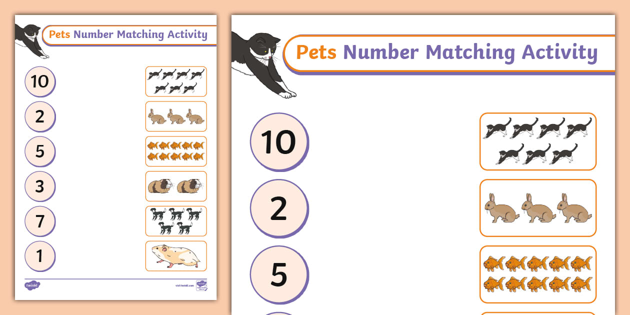 👉 Pets Number Matching Activity - KS1 Maths - Twinkl