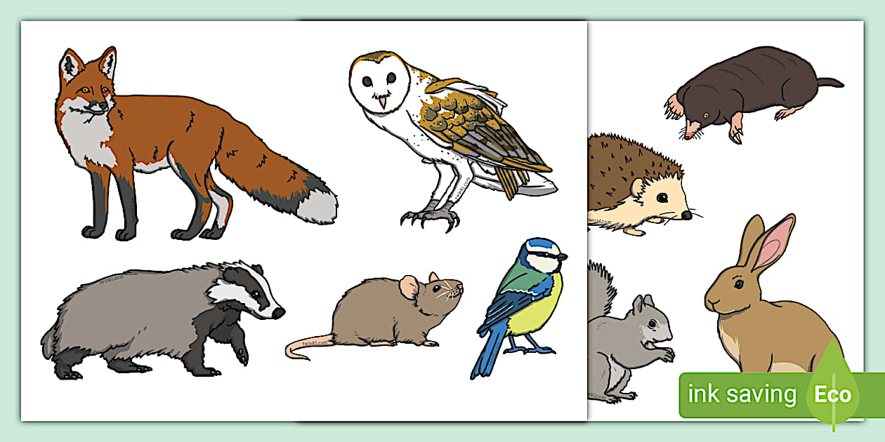 Woodland Animals Stick Puppets | Boreal Forest Animals