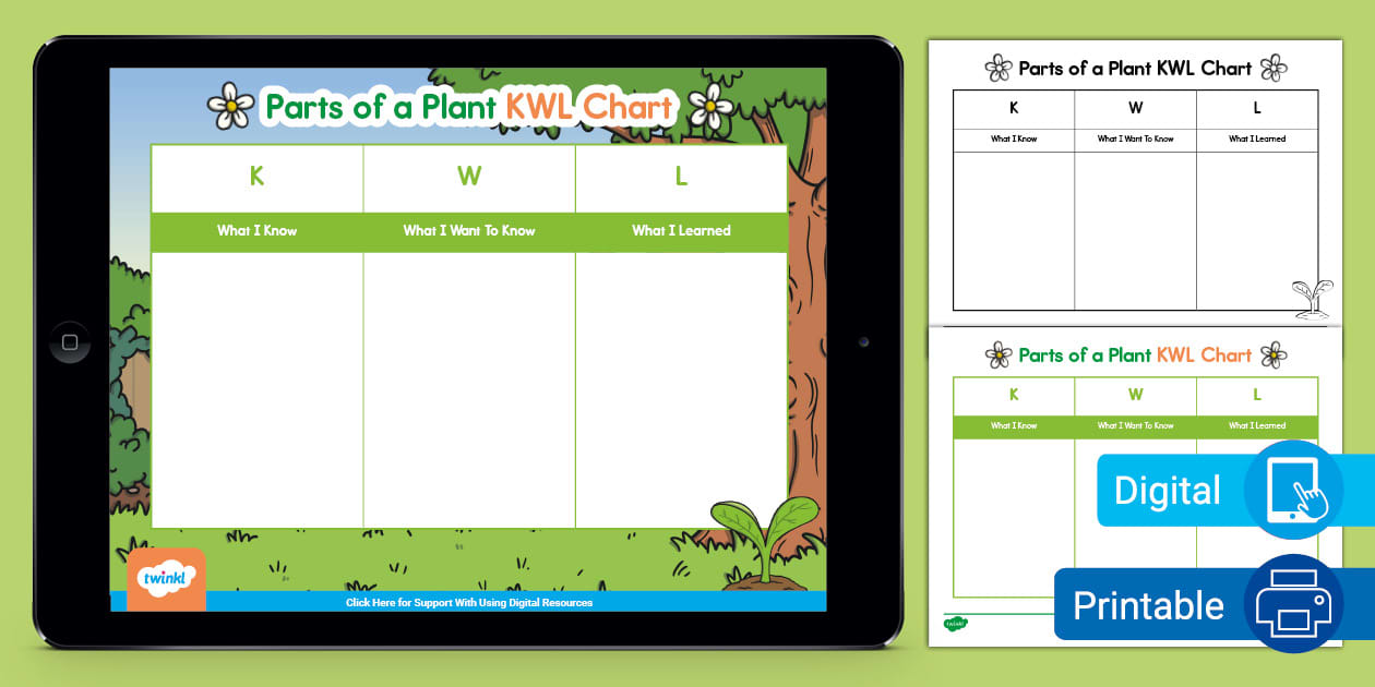 Parts of a Plant KWL Chart (professor feito) - Twinkl