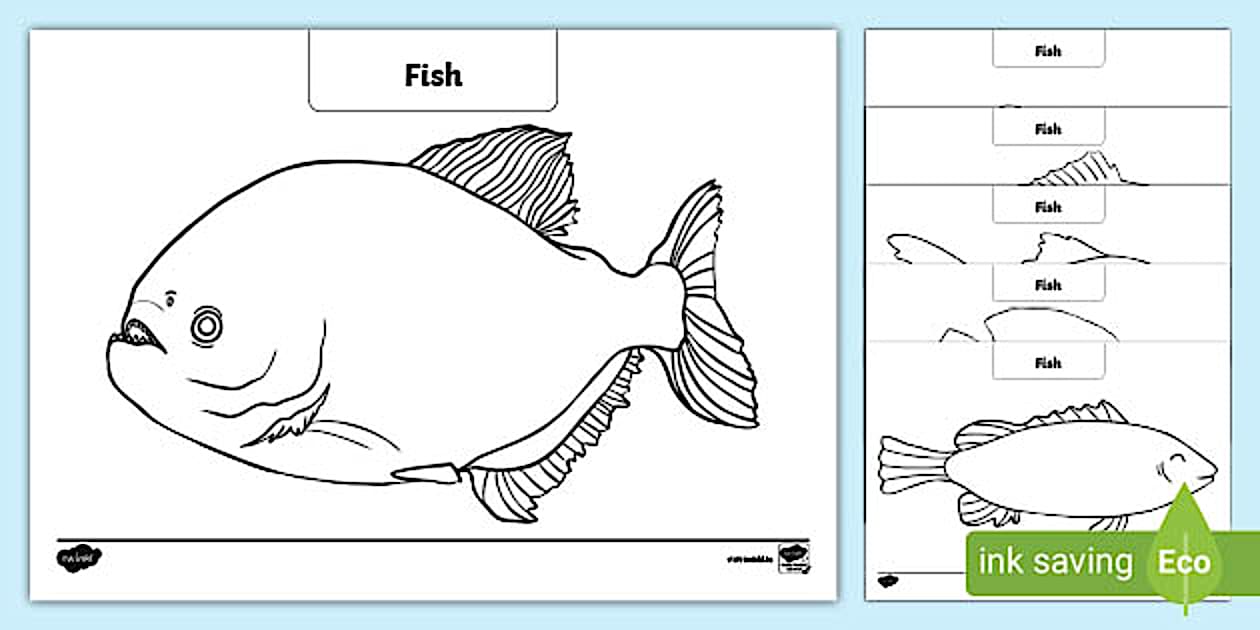 Fish template colouring sheets- easy to print. - Twinkl