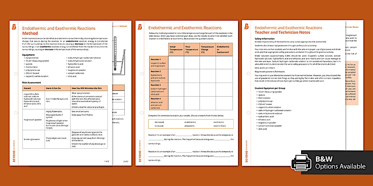 Exothermic and Endothermic Reactions Investigation - Twinkl