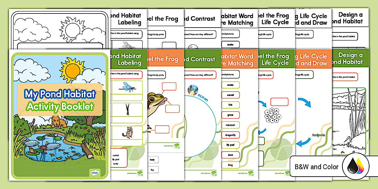 Pond Habitat Activity Booklet for K-1st Grade (teacher made)