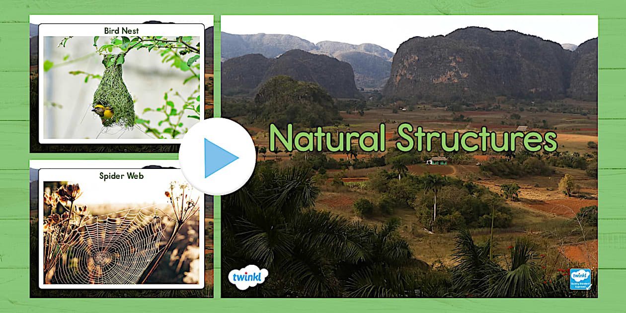 Natural Structures Examples PowerPoint (teacher made)