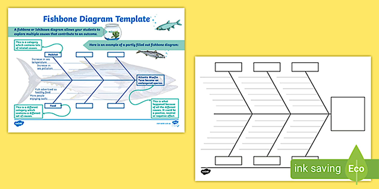 Fishbone Diagram (teacher made) - Twinkl