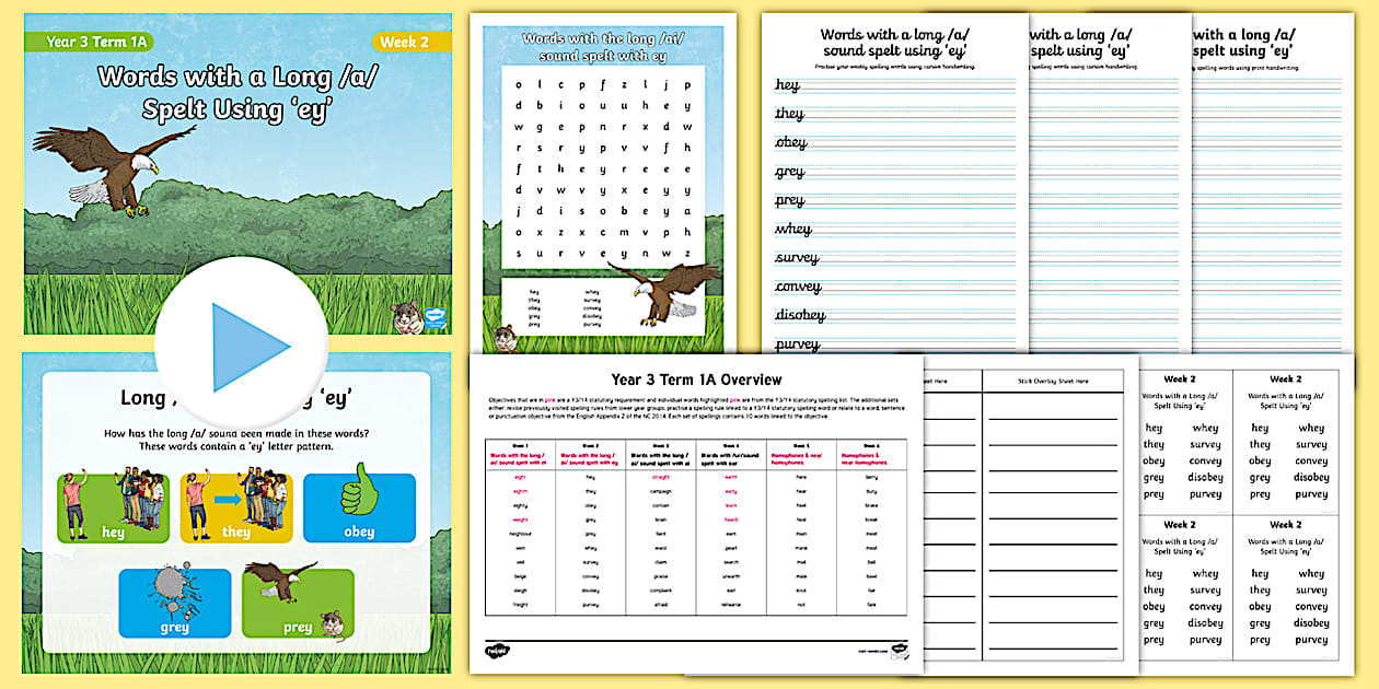 Year 3 Term 1A Week 2 Spelling Pack - Twinkl