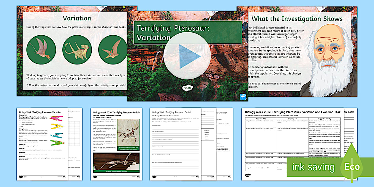 Terrifying Pterosaur: Biology Week Activity Pack - Biology Week