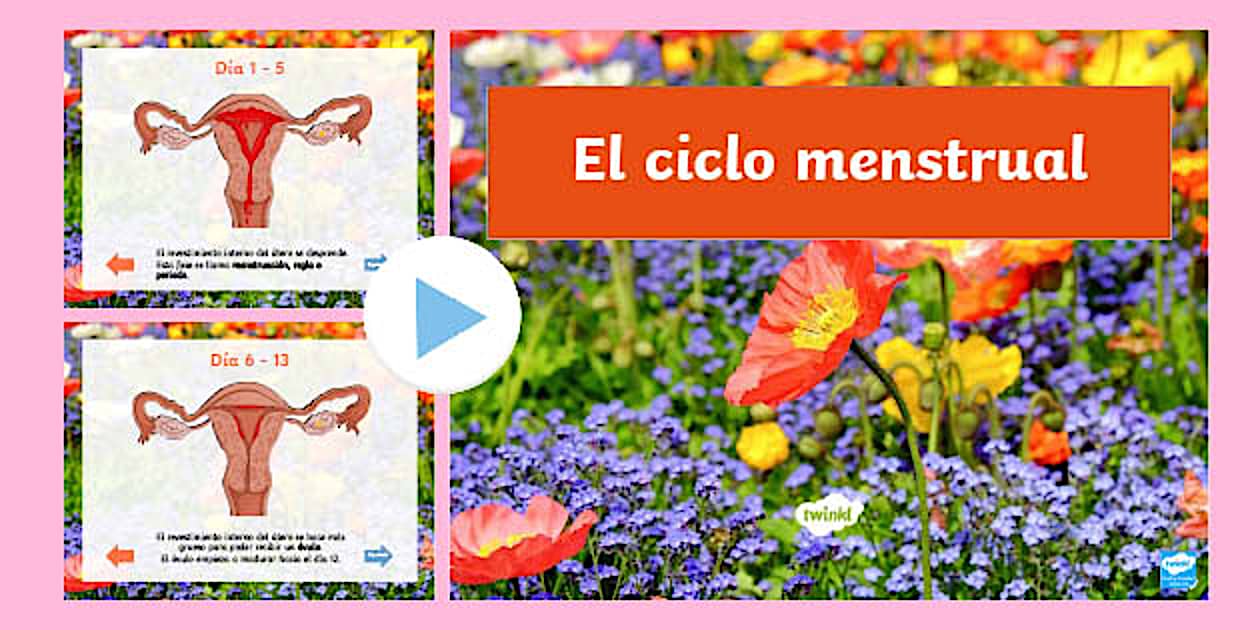 Presentación: El ciclo menstrual - Twinkl