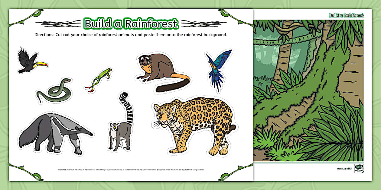 * NEW * Build a Rainforest Habitat Cut and Paste Worksheet