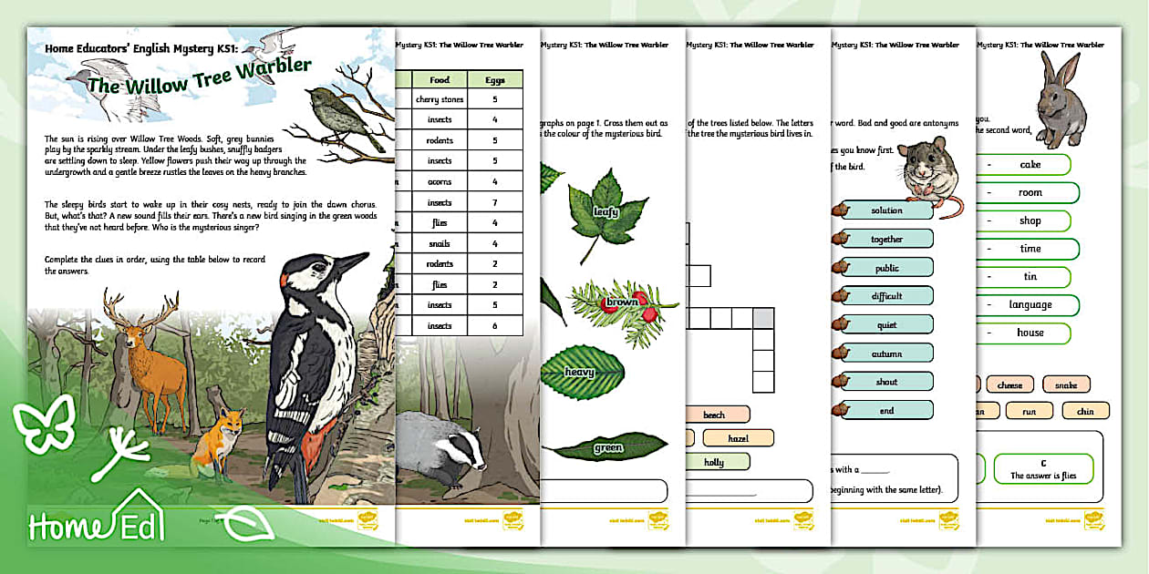Home Educators' English Mystery: The Willow Tree Warbler
