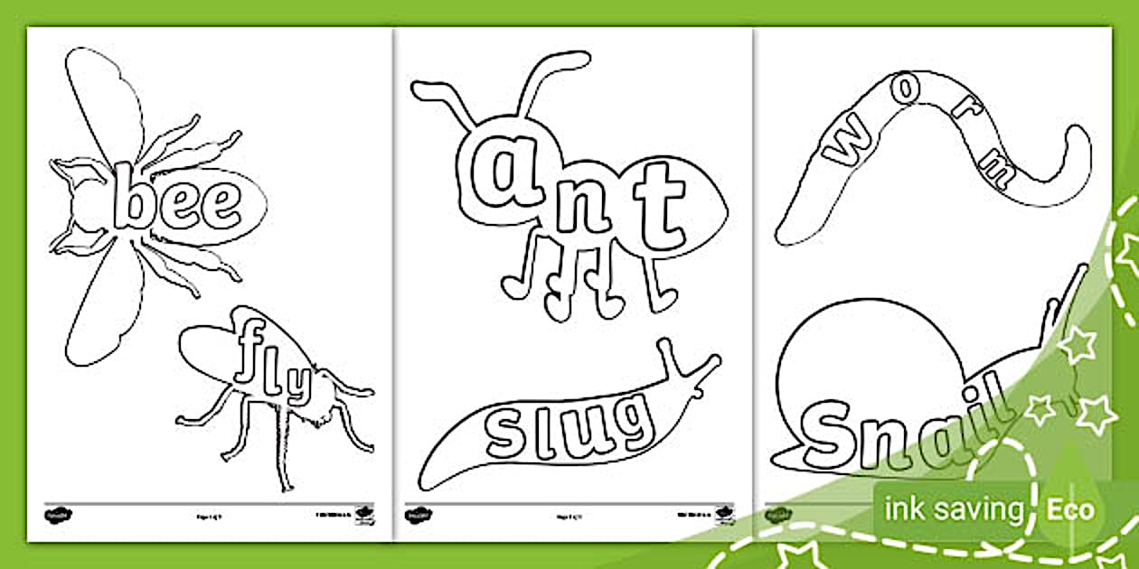 Word Colouring Pages - Minibeasts (teacher made) - Twinkl