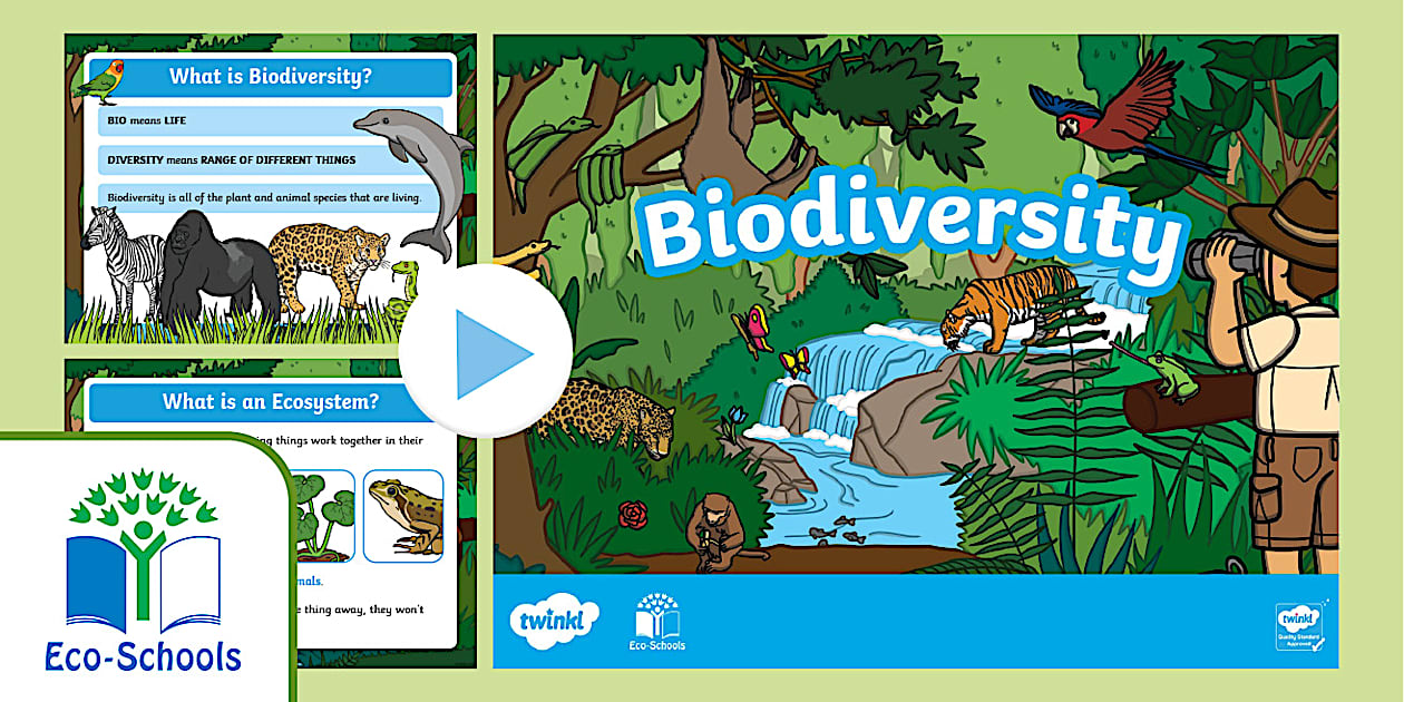 FREE! - Eco-Schools NI: Biodiversity KS1 PowerPoint - Twinkl