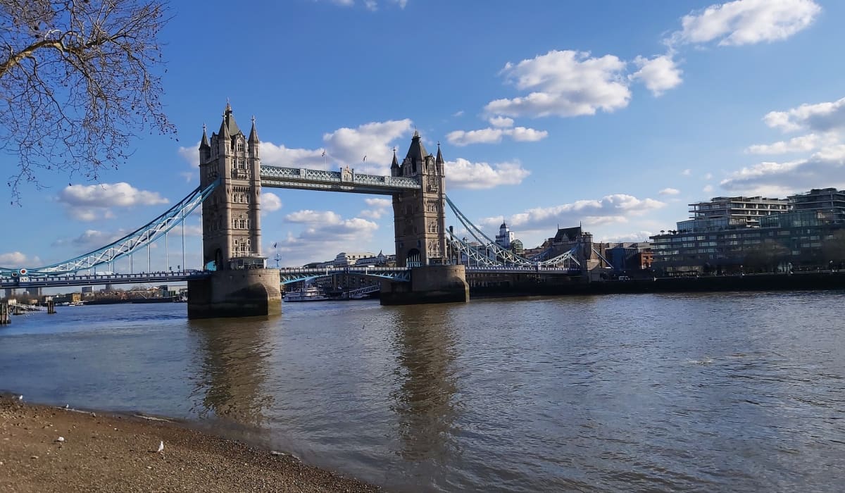 Stone Age Bone Found on Thames - Twinkl NewsRoom - Twinkl