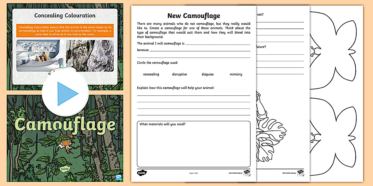 Editable Camouflage Adaptation STEM Activity Pack - Twinkl