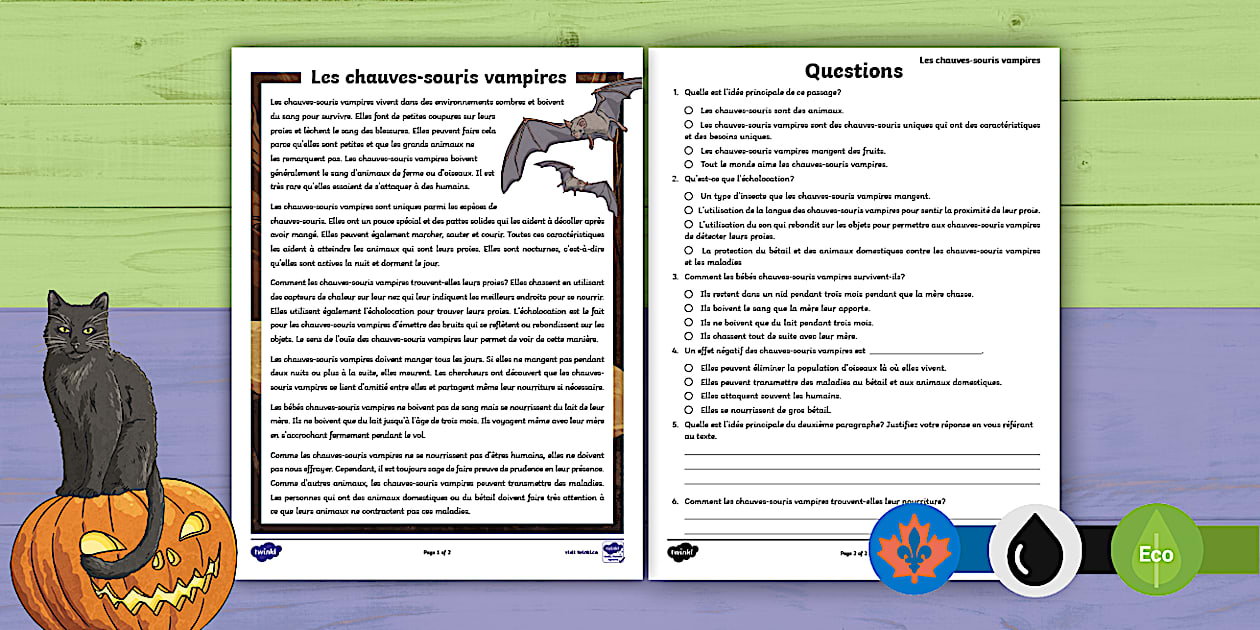 Halloween reading activity in French | Twinkl - Twinkl