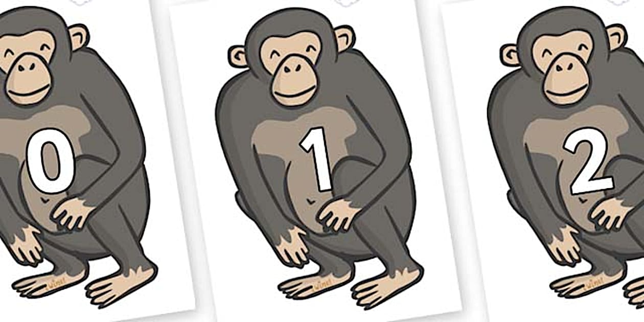 Numbers 0-100 on Chimps (teacher made) - Twinkl