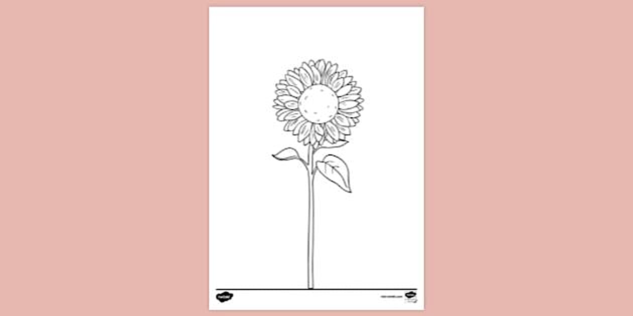 Realistic Flower Colouring Sheet - Colouring Sheets - Twinkl