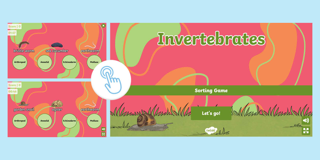Invertebrates Sorting Game (teacher made) - Twinkl