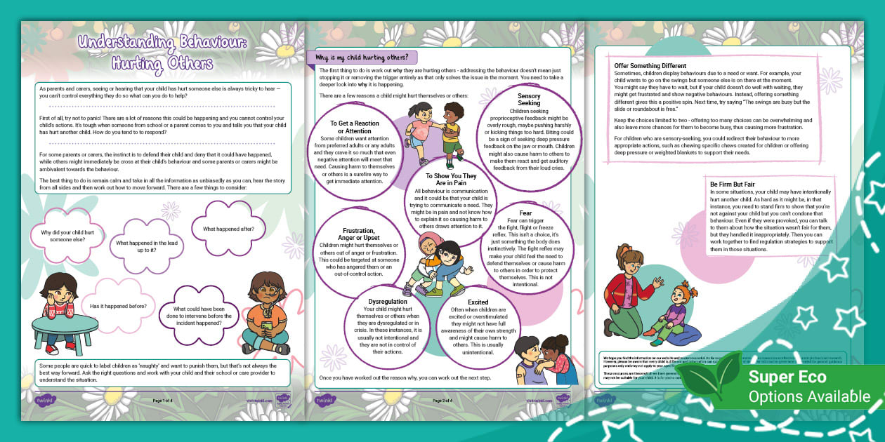 Understanding Behaviour: Hurting Others - Twinkl