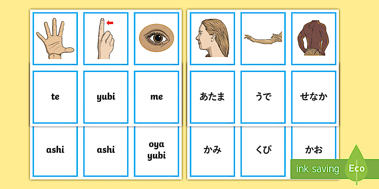 Japanese Parts of the Body Word and Picture Matching Cards