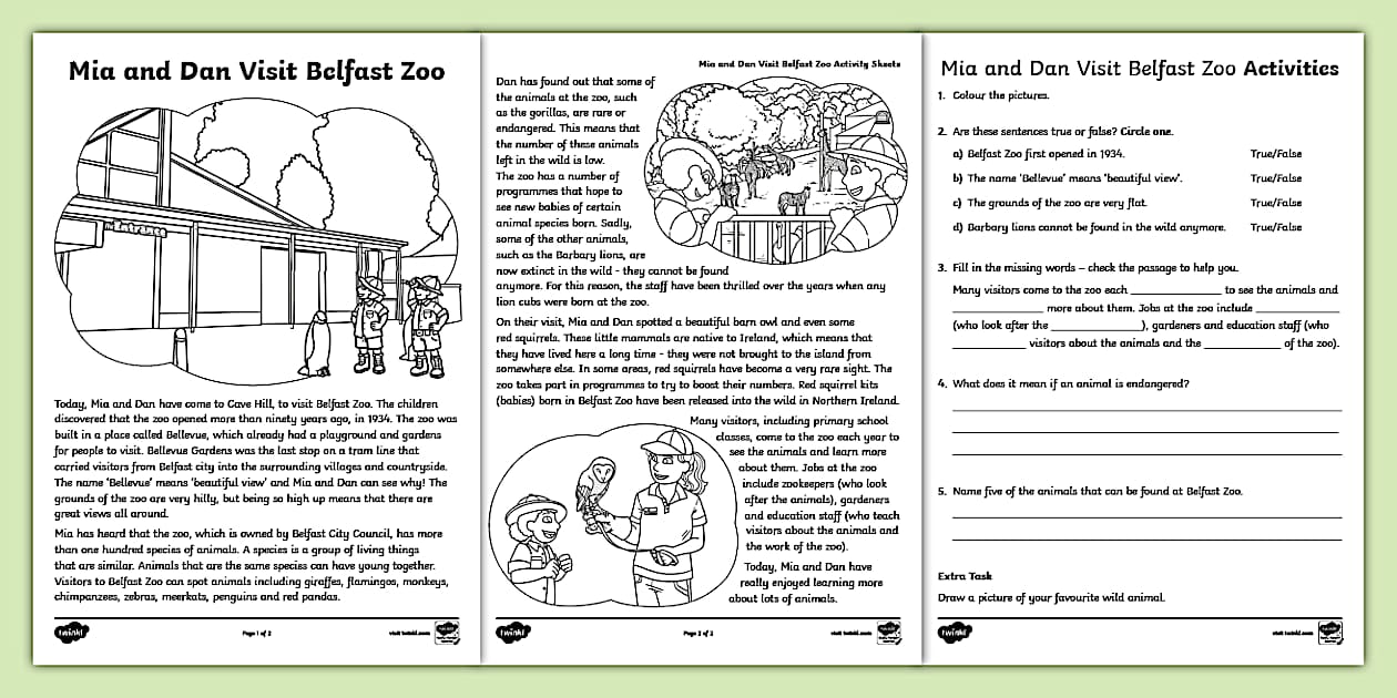Mia and Dan Visit Belfast Zoo Activity Sheets (teacher made)