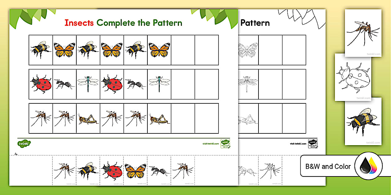 Insects Complete the Pattern Worksheet (teacher made)
