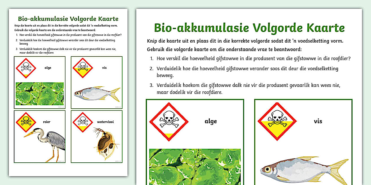 Bio-Akkumulasie Volgorde Kaarte Aktiwiteit (teacher made)