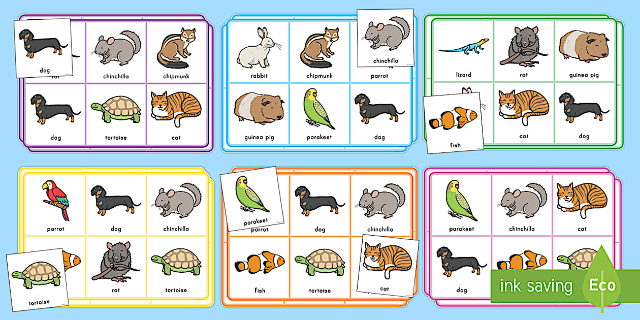 Pets Matching Cards (Hecho por educadores) - Twinkl