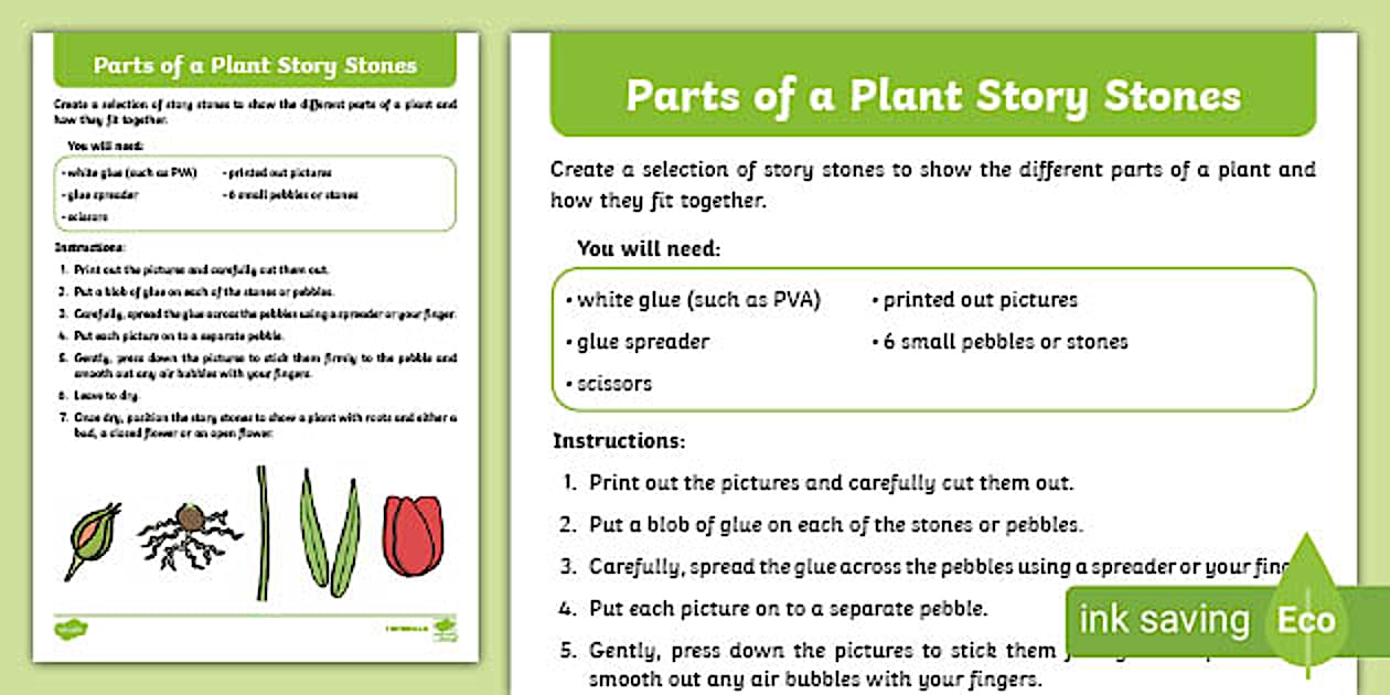 Parts of a Plant Story Stone Image Cut Out plants - Twinkl