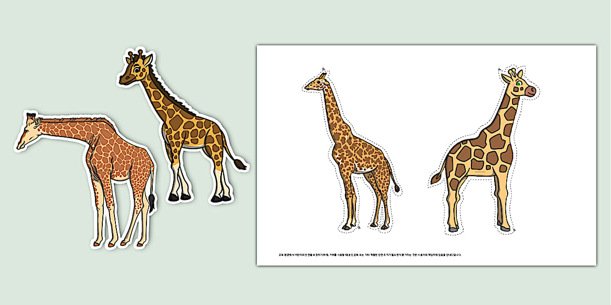 기린 컷 아웃 Giraffe Display Cut-Outs (Teacher-Made)