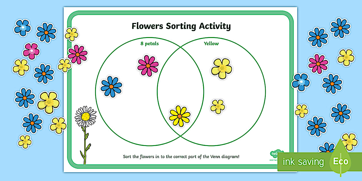 Venn Diagram Flower Sorting Activity 2 - Twinkl