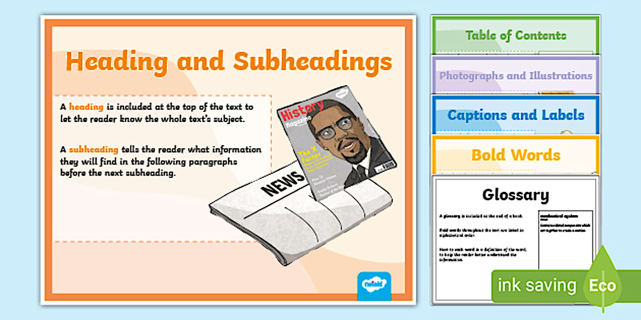 Text Features Classroom Posters - Twinkl