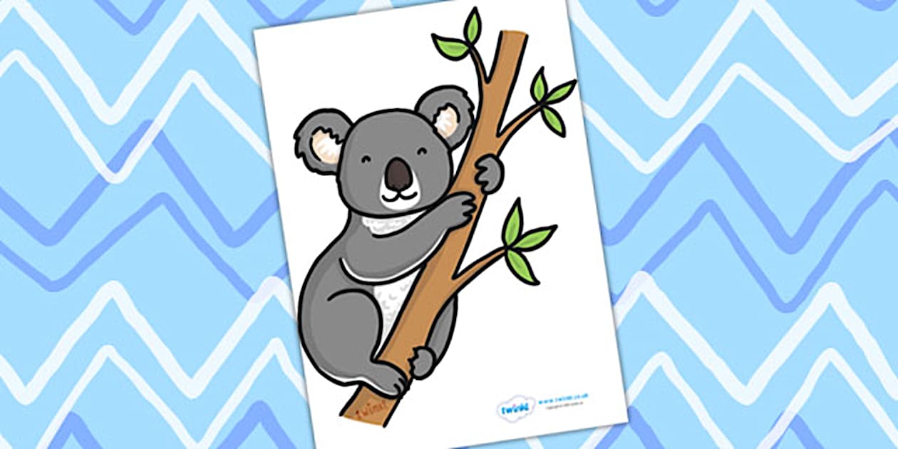 Editable Koala (teacher made) - Twinkl
