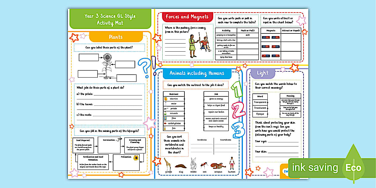 Year 3 Science GL Style Activity Mat (teacher made) - Twinkl