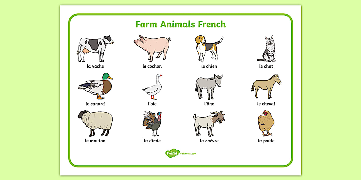 Farm Animals in French Word Mat (teacher made) - Twinkl
