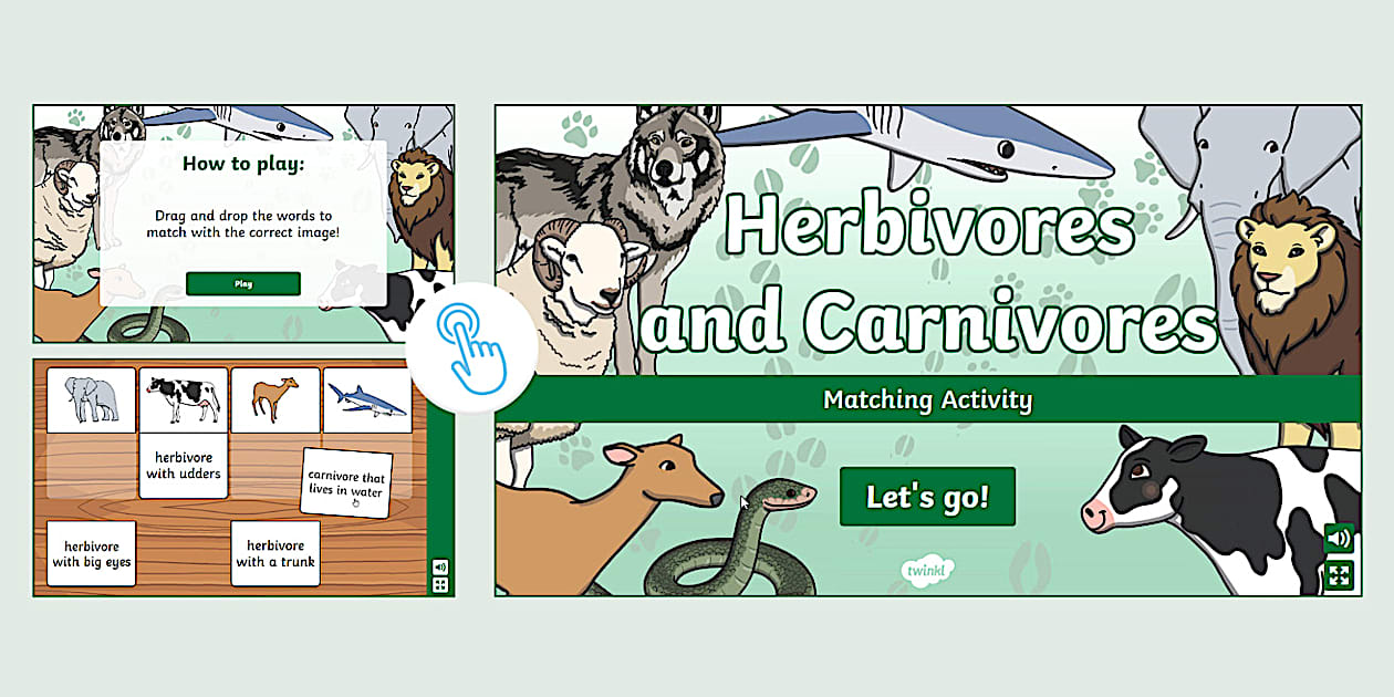 Herbivores and Carnivores Interactive Matching Activity
