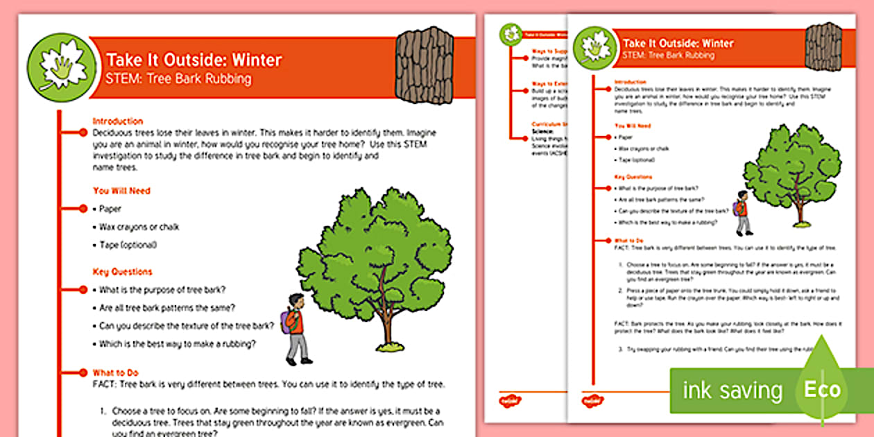 Tree Bark Rubbing STEM Activity and Resource Pack - Twinkl