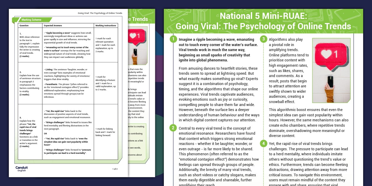 N5 Mini-RUAE: Going Viral - The Psychology of Online Trends