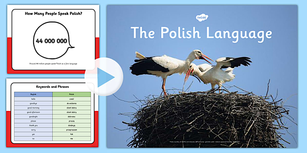 👉 Polish Language PowerPoint - Twinkl