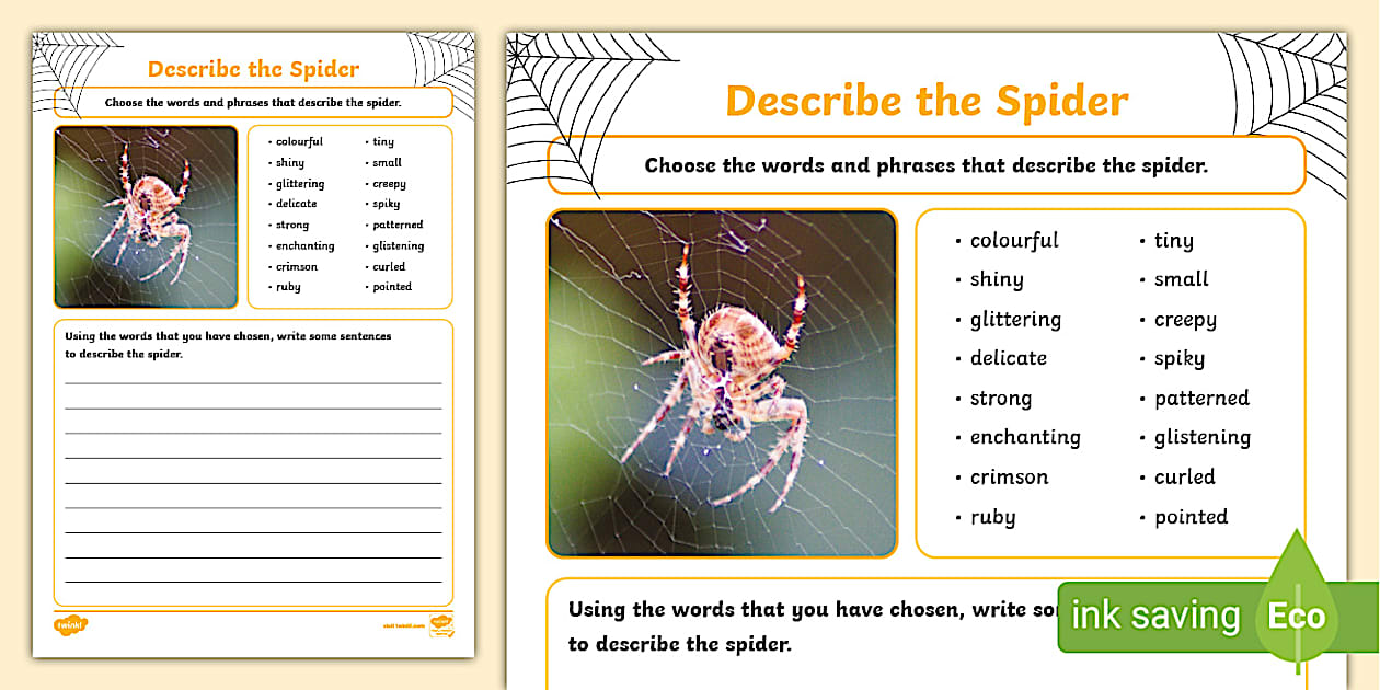 Describe the Spider Writing Activity (Teacher-Made) - Twinkl