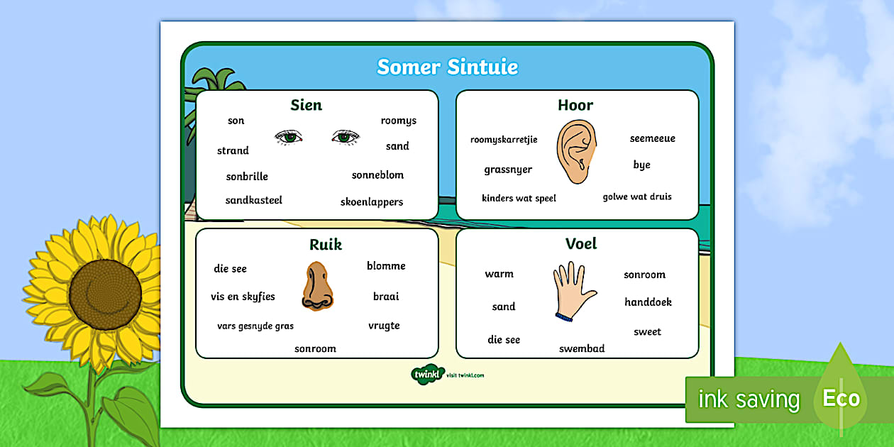 Somer Sintuie Woordmat (teacher made) - Twinkl