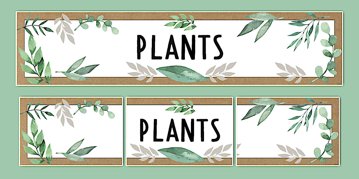Botanical-Themed Plants Display Banner (teacher made)