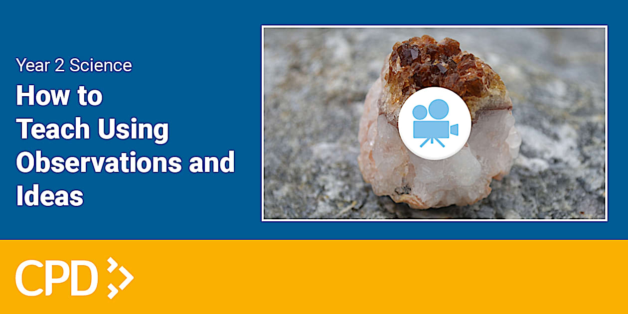 Working Scientifically in Year 2: How to Teach Using Observations and ideas