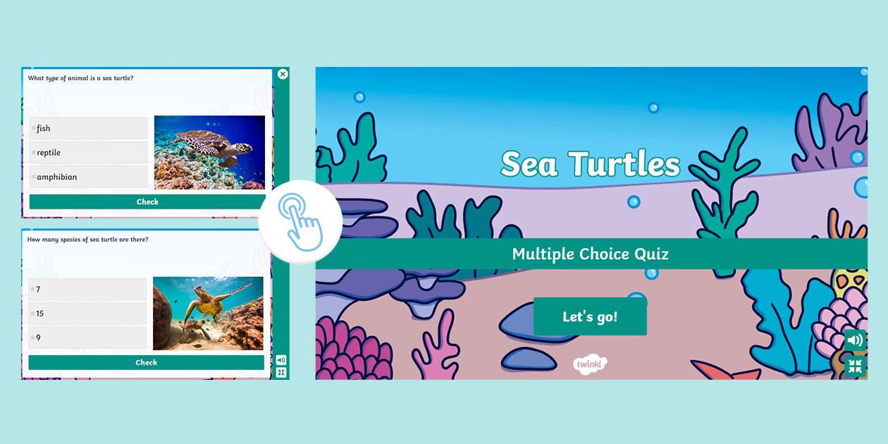 Sea Turtles Multiple Choice Quiz - Twinkl - KS1 - Twinkl