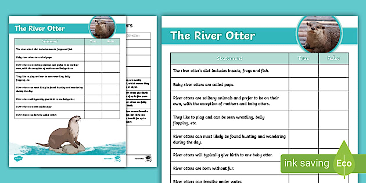 River Otter True or False Activity - Grades 4-6 - Twinkl