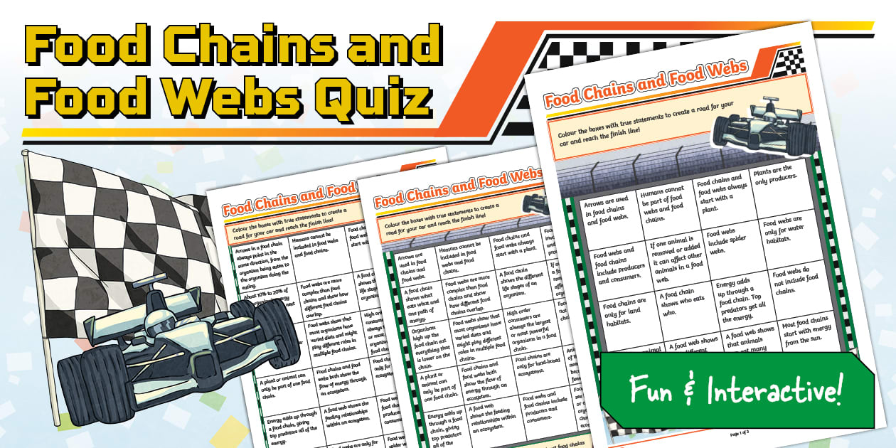 Food Chains and Food Webs Quiz