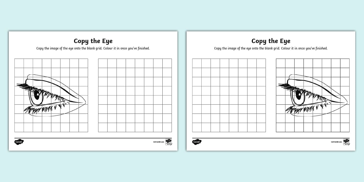 Copy the Eye Worksheet - Twinkl Artwork (teacher made)