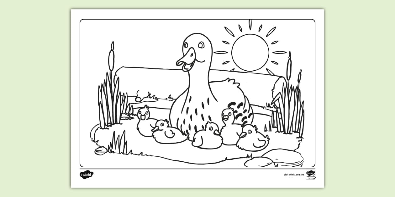 Five Little Ducks Colouring Sheet (teacher made) - Twinkl