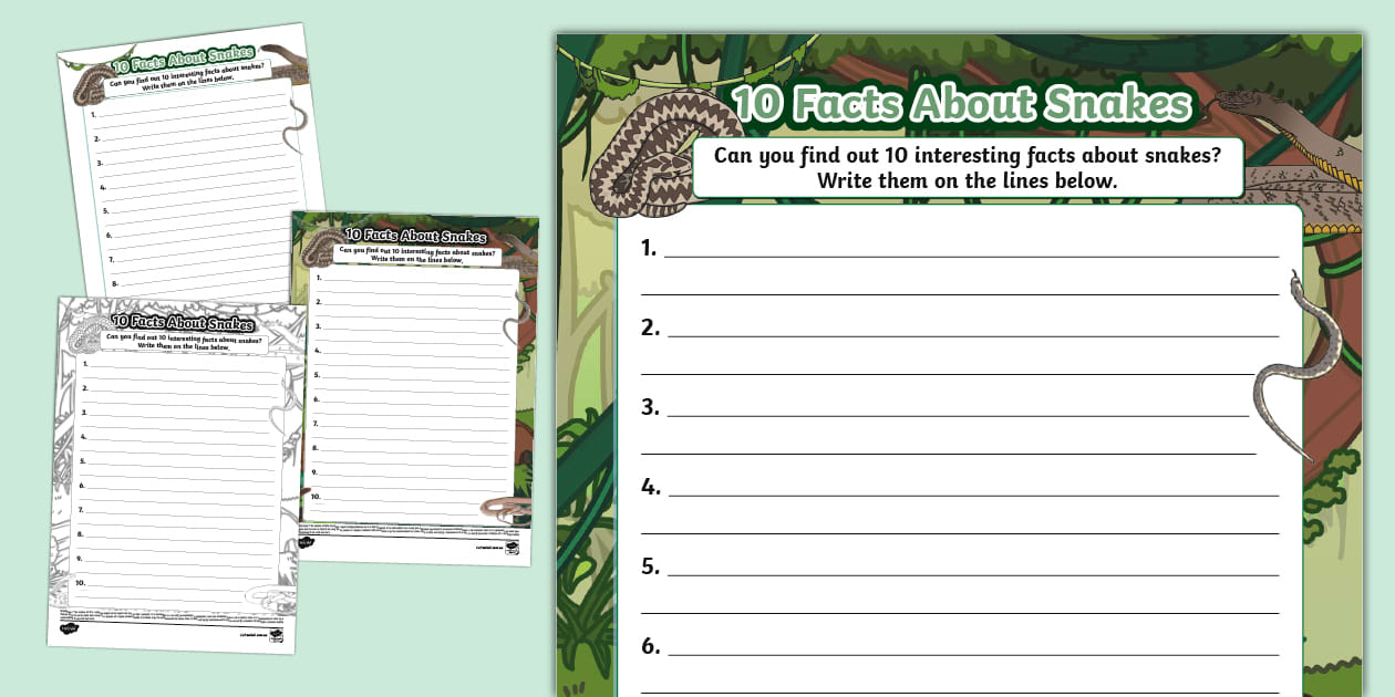 * NEW * 10 Interesting Facts About Snakes Worksheet - Twinkl