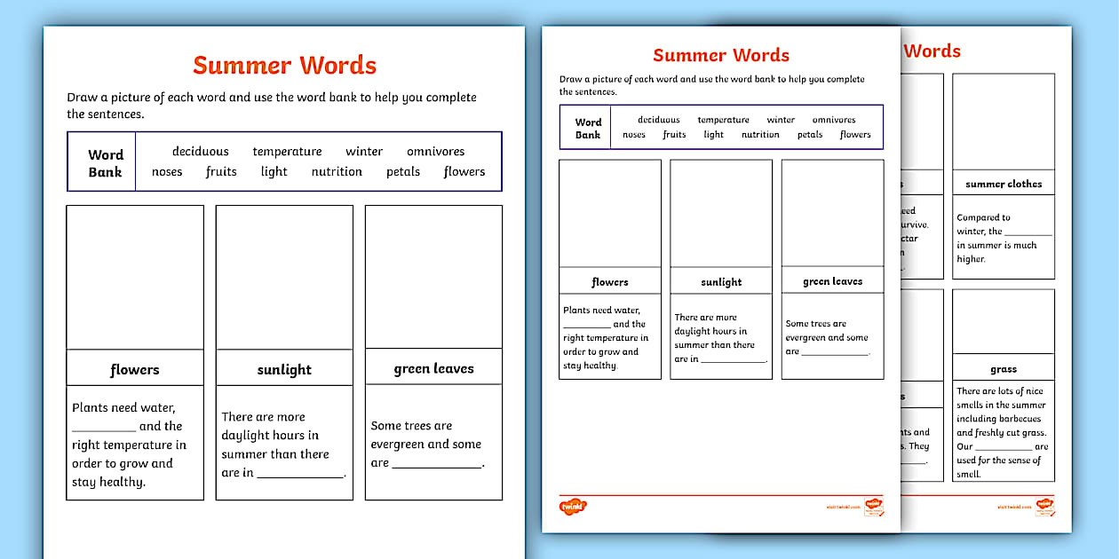 Summer Words Activity Sheet