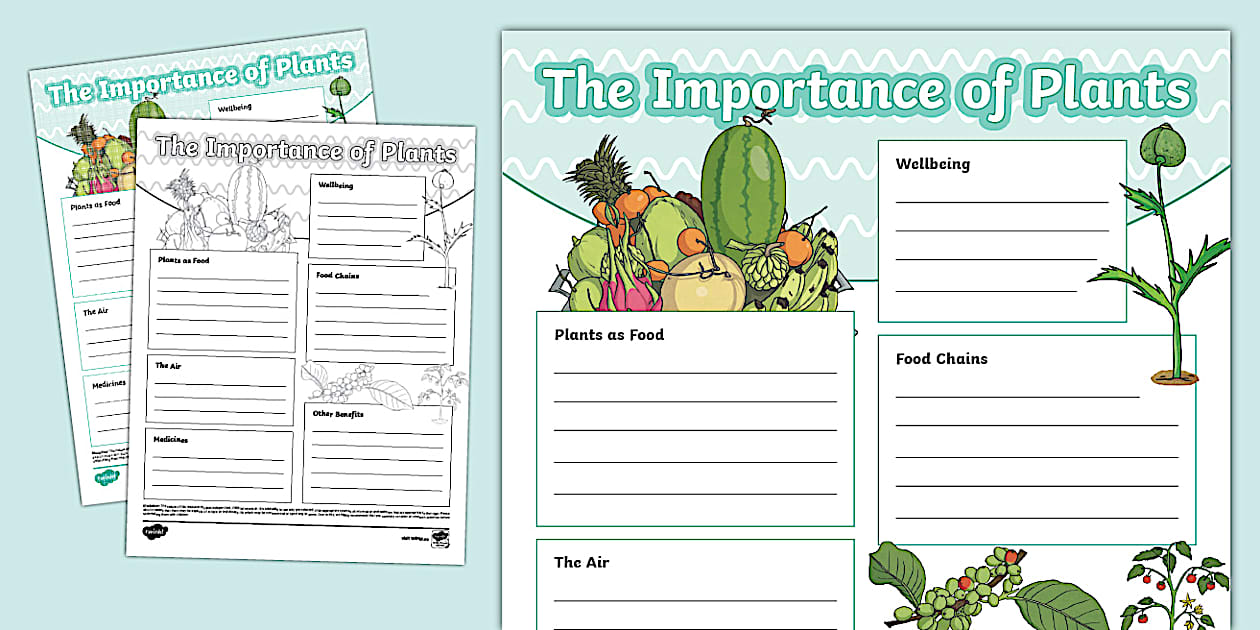 The Importance of Plants Fact File Template (teacher made)